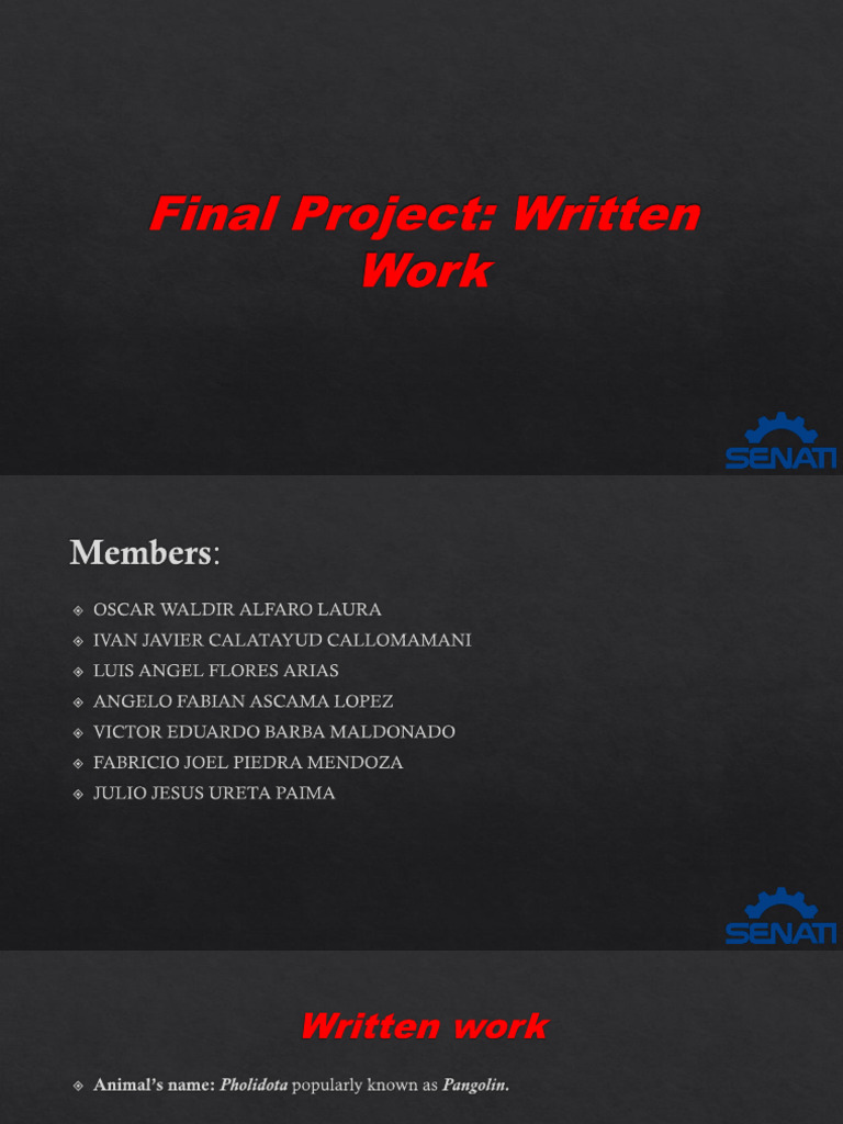 Final Project Written Work | PDF