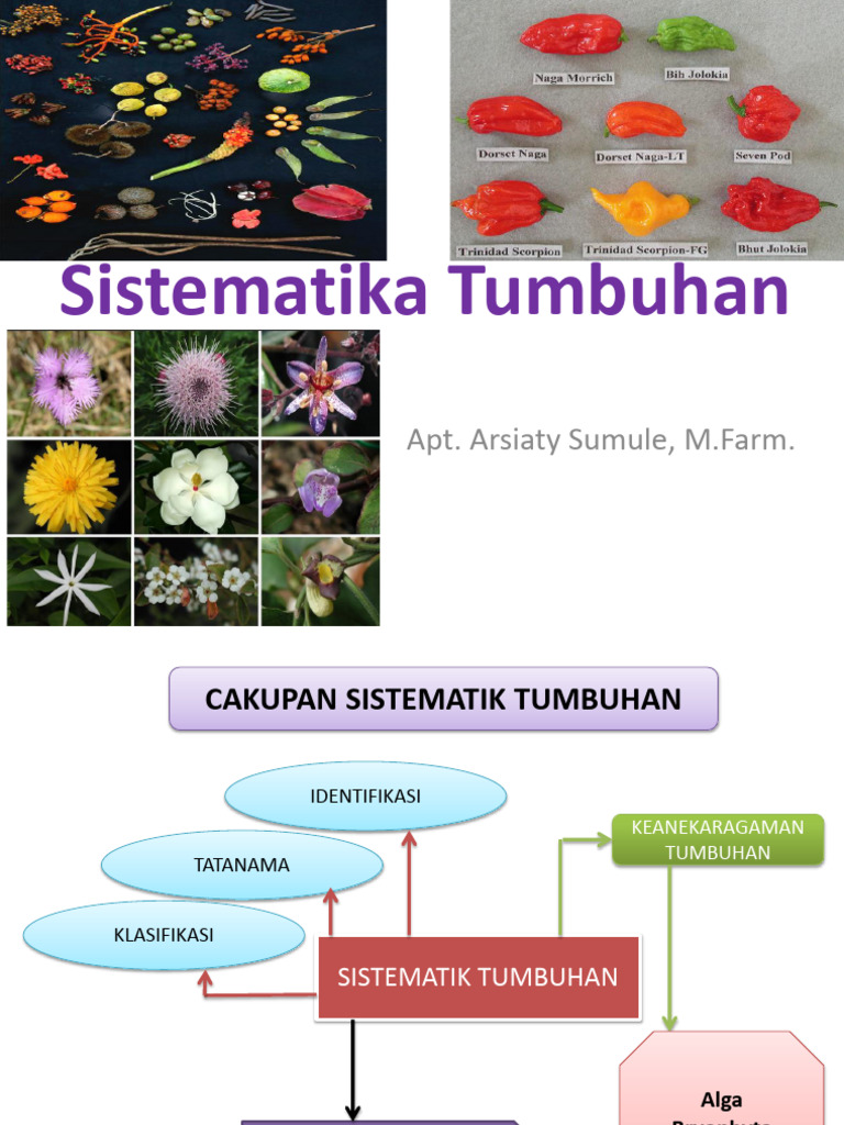 Sistematika Tumbuhan - 160324 | PDF