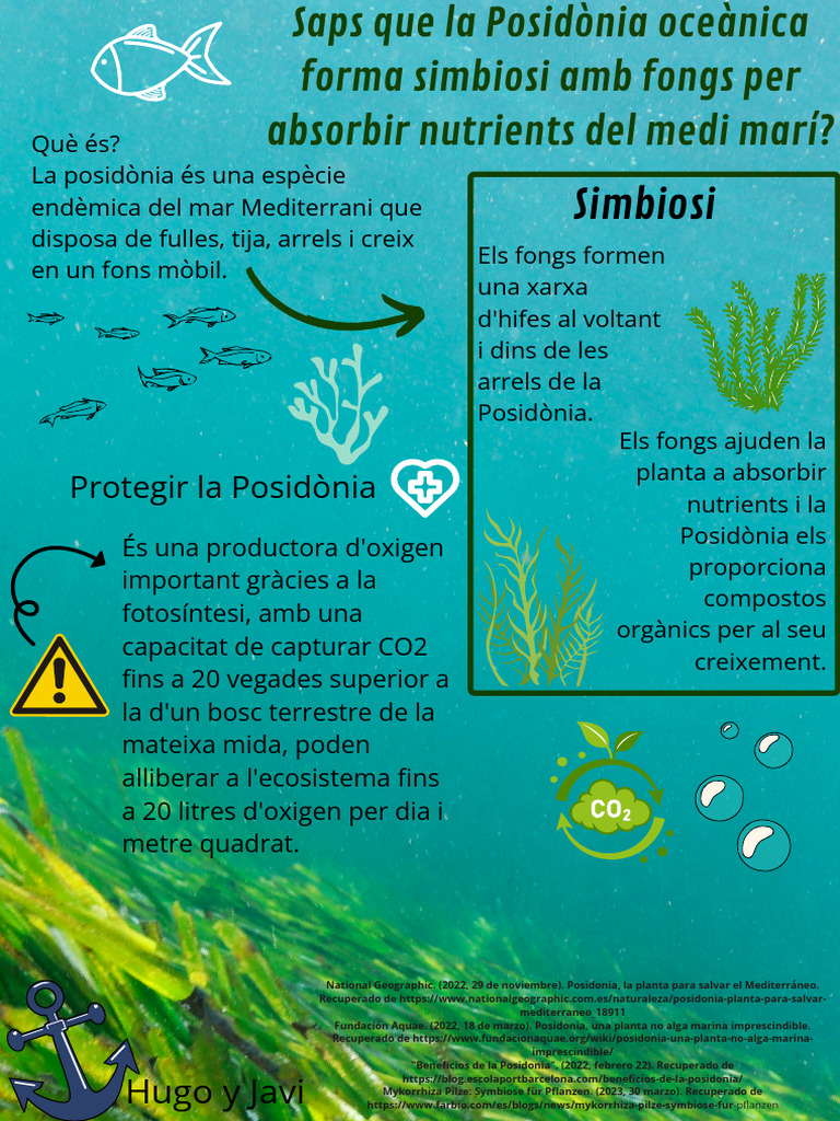 Posidonia Javi y Hugo 1xa | PDF