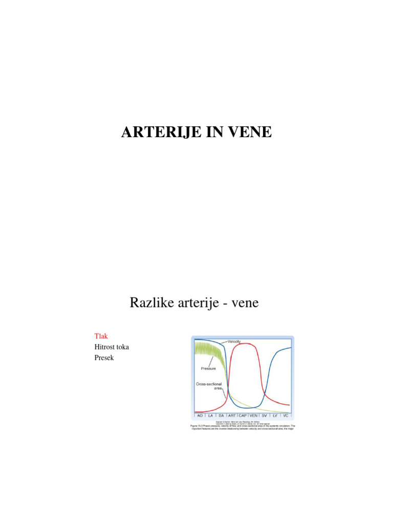 Arterije in Vene2019 | PDF