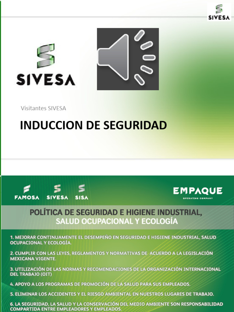 Inducción de Seguridad para Visitantes SIVESA | PDF
