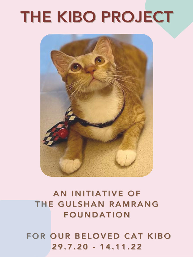 The Kibo Project | PDF