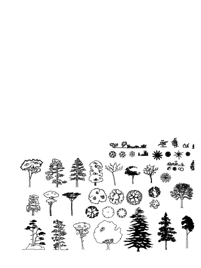 Bloques Vegetación Model | PDF