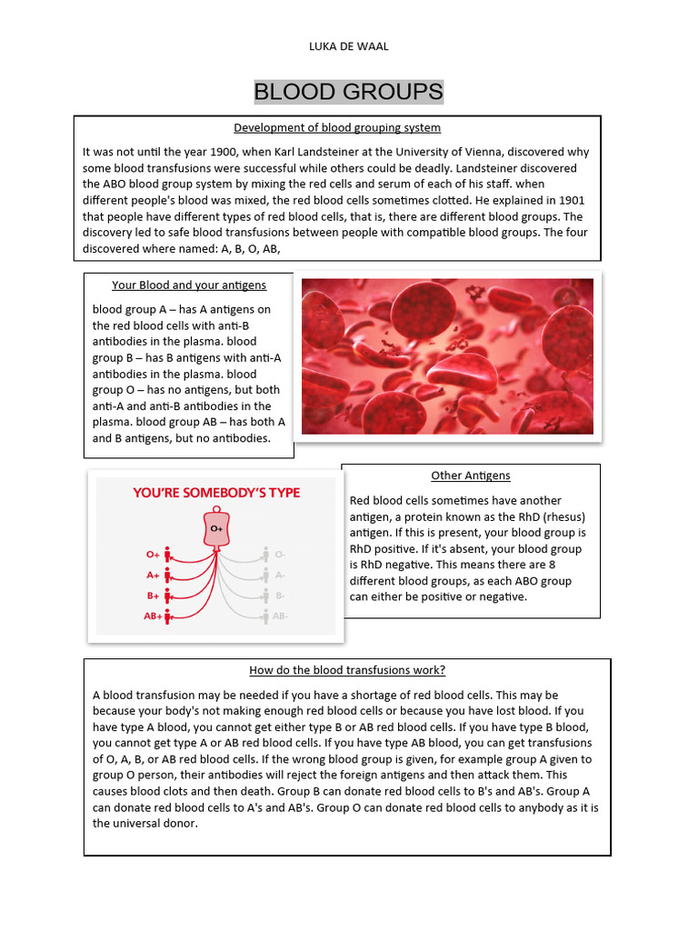 Understanding Blood Groups and Transfusions | PDF | Blood Type | Blood