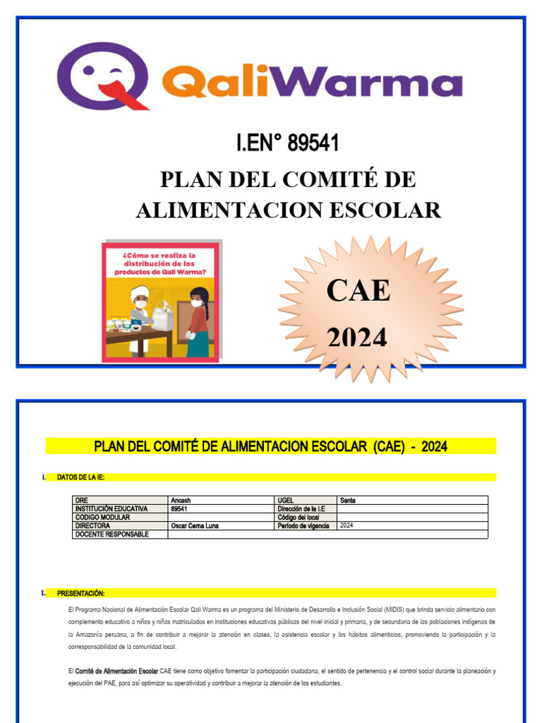 28) PLAN DE CAE-2024-89541 | PDF | Violación | Escuelas