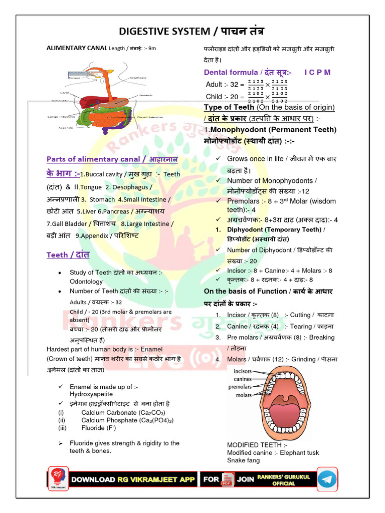559) DIGESTIVE SYSTEM Bilingual (E-Notes) | PDF