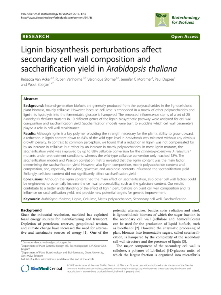 Lignin Biosynthesis Perturbations Affect | PDF | Cellulose | Lignin