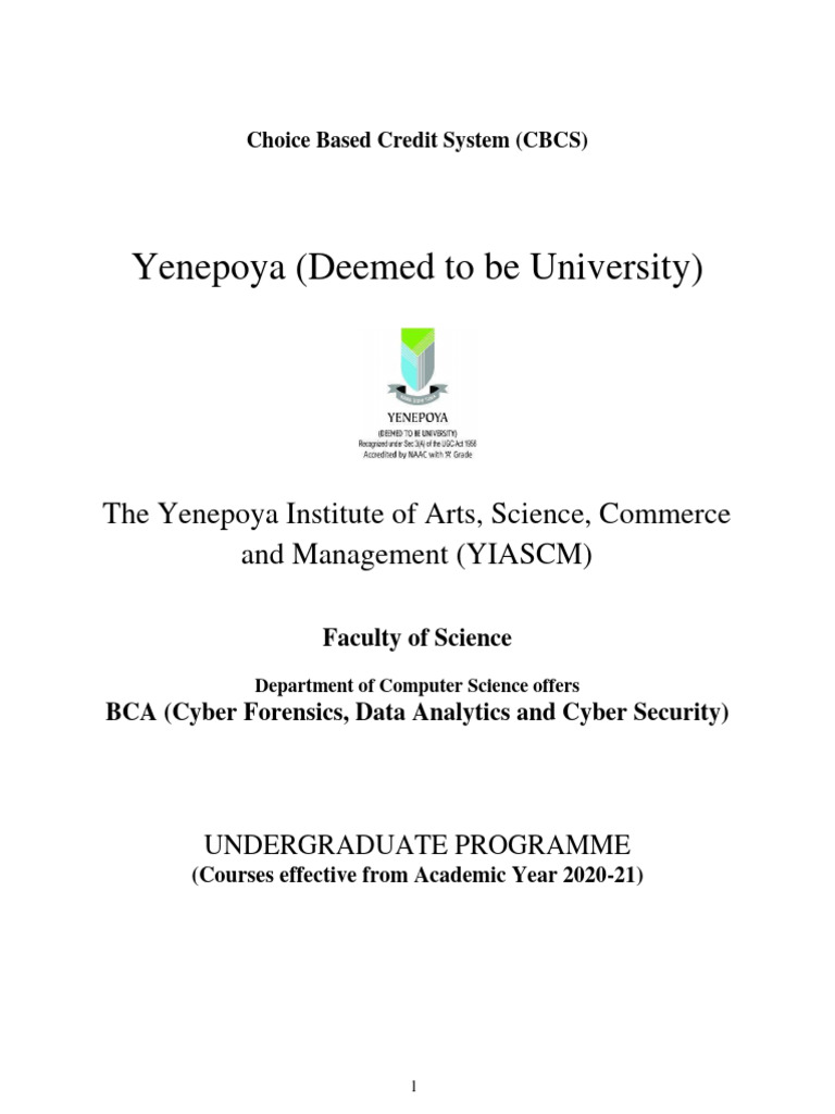 BCA (Cyber Forensic, Data Analytics and Cyber Security) | Download Free PDF | Computer Data ...