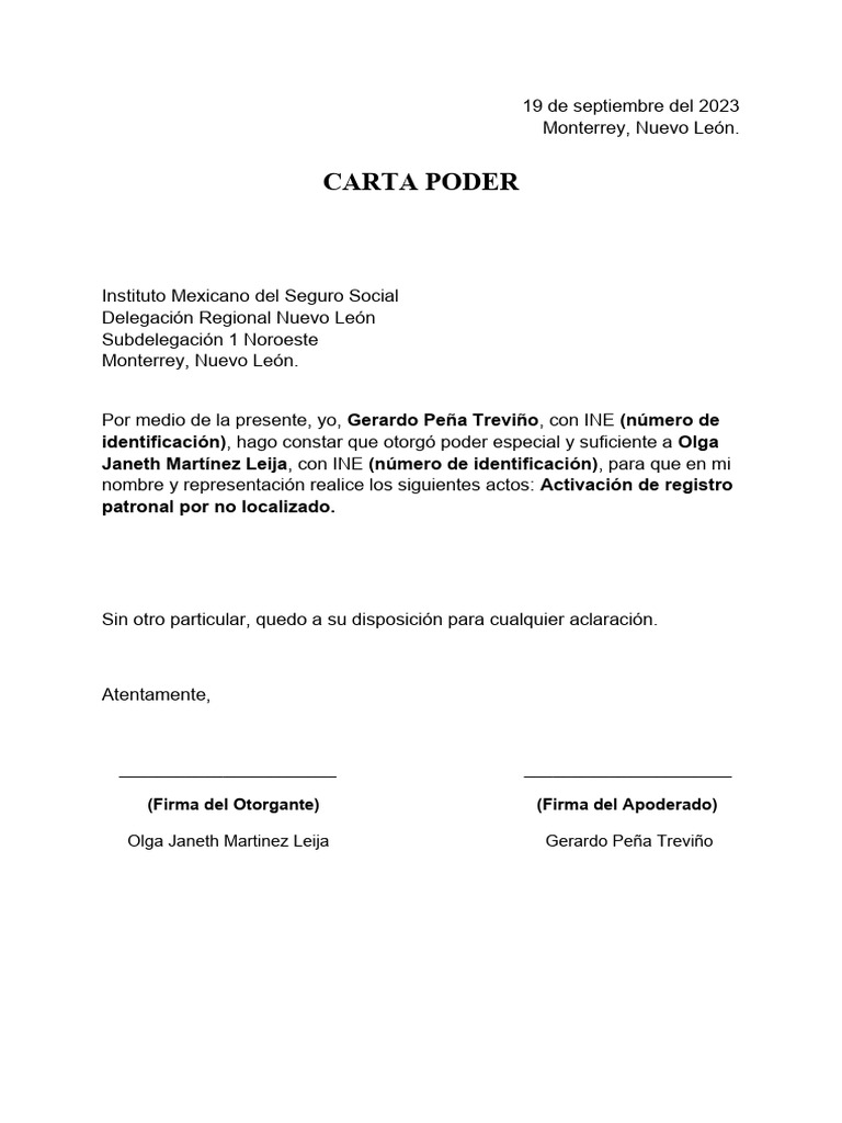 Machote Carta Poder Simple | Descargar gratis PDF | México | Gobierno