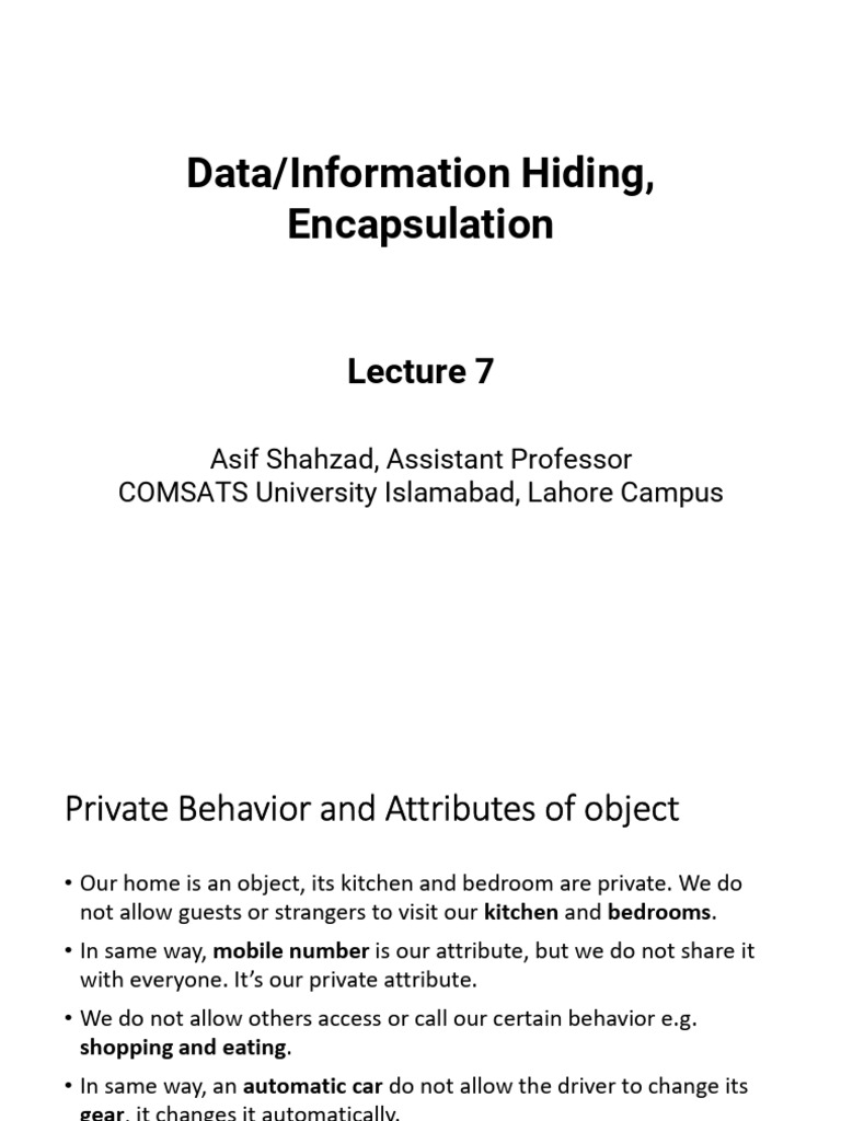 Lec07 - Data Hiding and Encapsulation | PDF