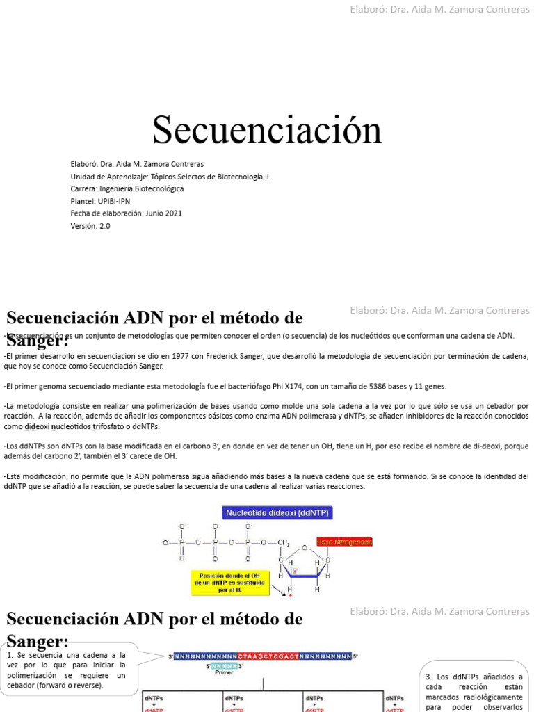 Tema 7. Secuenciación Tsbii Jun2021 | PDF | Secuencia ADN | Adn