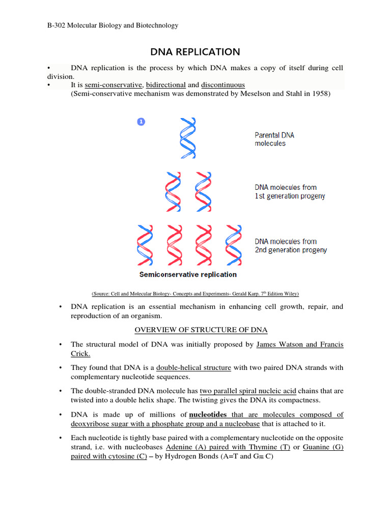 DNA Replication | PDF | Dna Replication | Dna