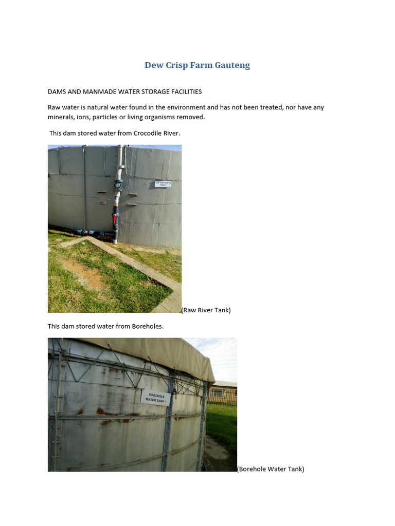 Dew Crisp Farm Gauteng | PDF | Coccinellidae | Hydroponics