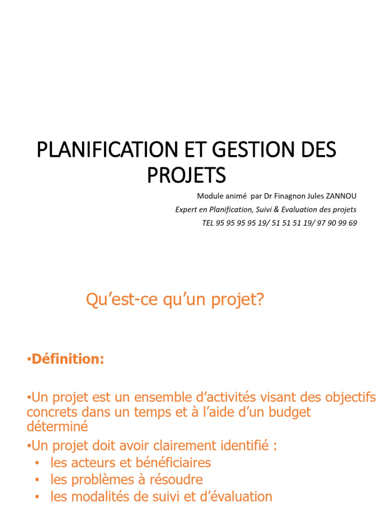 Planification Et Gestion Des Projets | PDF | SIDA | Planification