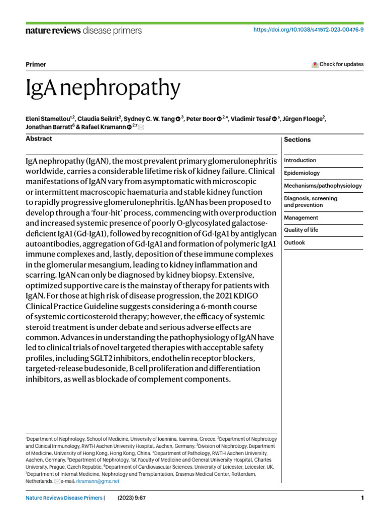 Review IgAN Nature review 2023 | PDF | Immune System | Natural Killer Cell