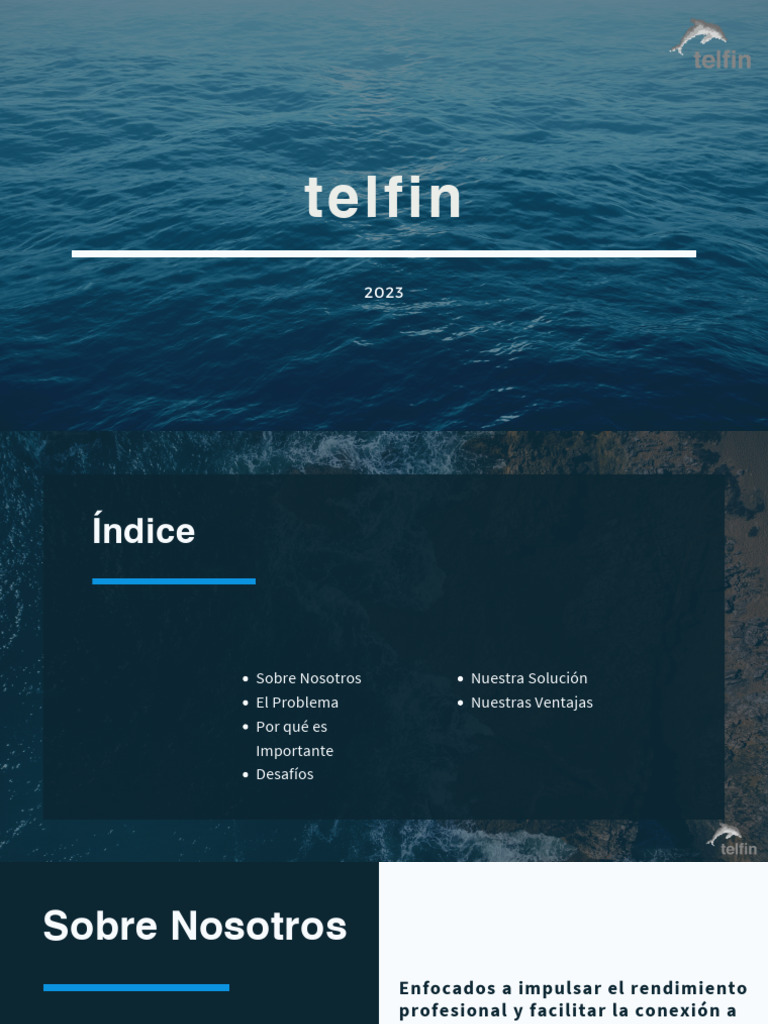 Presentación Comercial Telfin | PDF | Teléfonos móviles | Economias