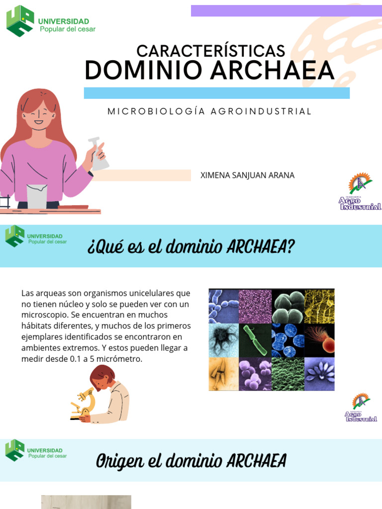 Características generales ARCHAEA - EXPOSICIÓN (1) | PDF | Archaea | Las bacterias
