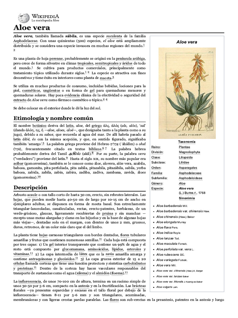 Aloe Vera - Wikipedia, La Enciclopedia Libre | PDF