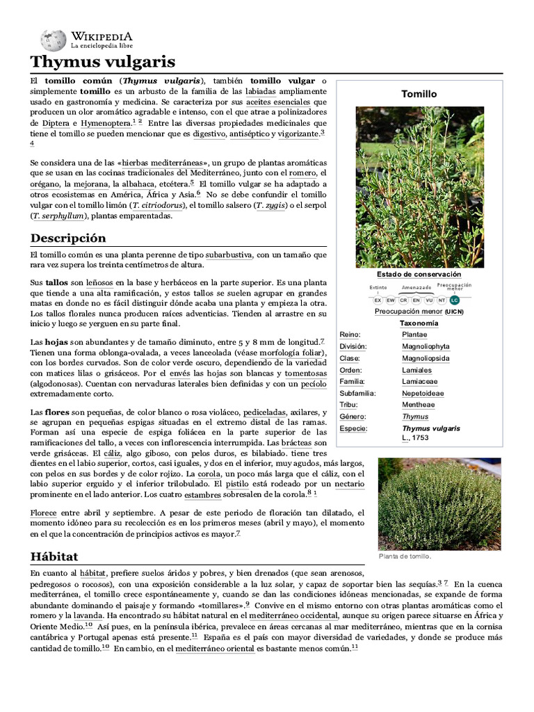 Thymus Vulgaris - Wikipedia, La Enciclopedia Libre | PDF