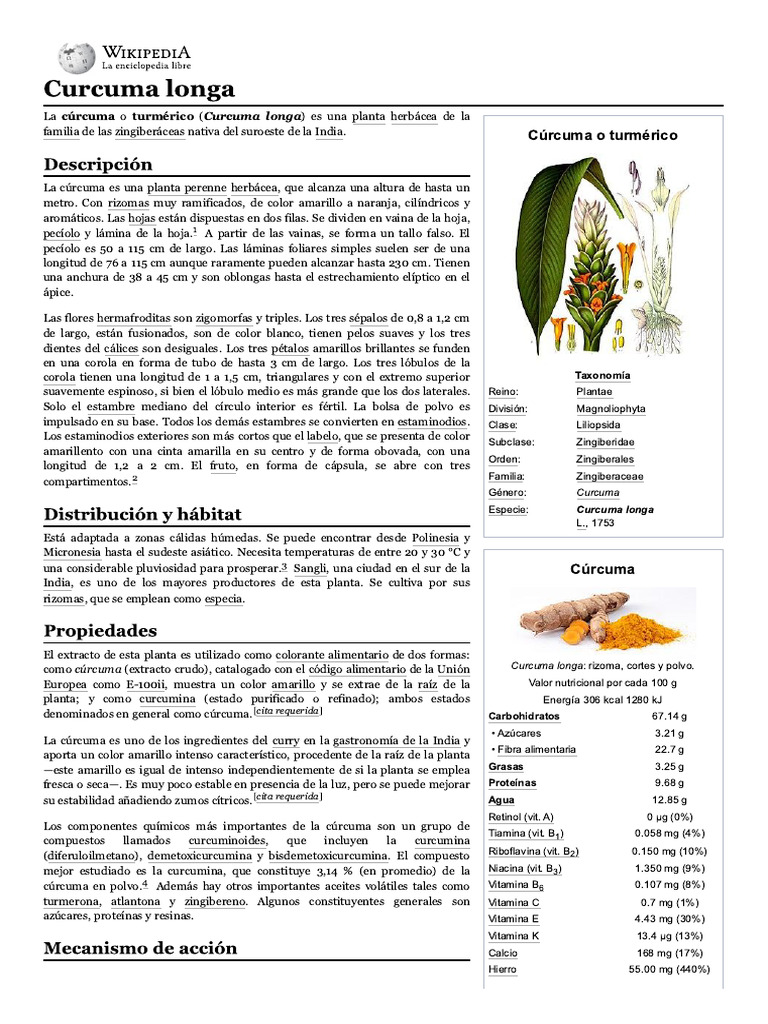 Curcuma Longa - Wikipedia, La Enciclopedia Libre | PDF