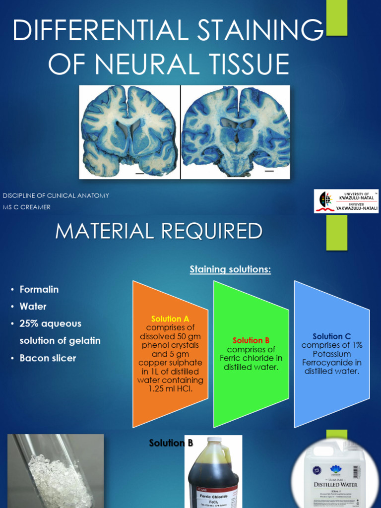 Differential Staining of Neural Tissue | PDF | Staining | Water