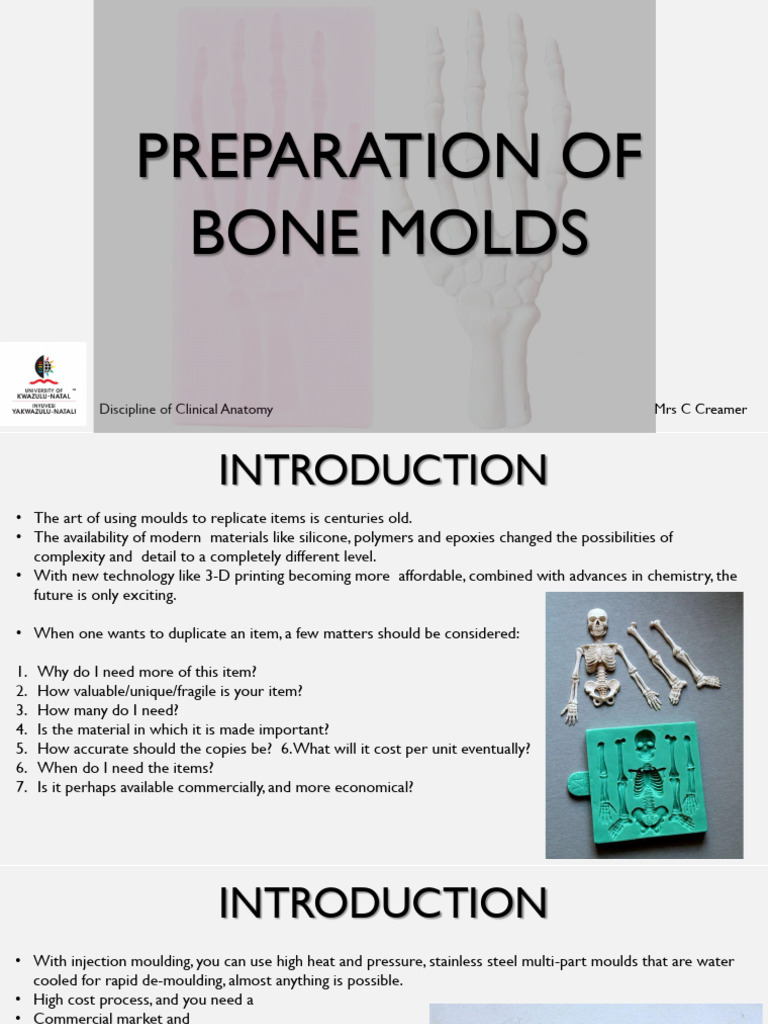 Preparation of Bone Molds_C Creamer | PDF | Silicone | Casting