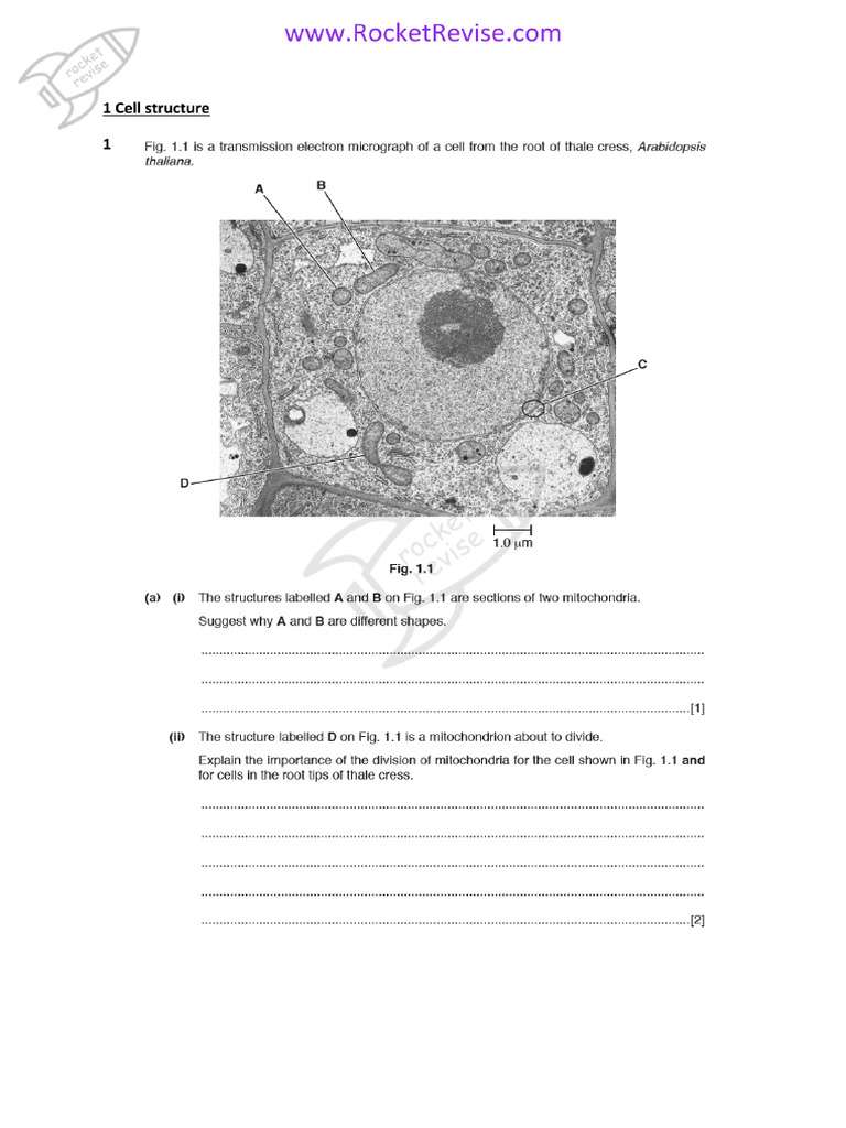 1 Cell Structure Qp Pdf 