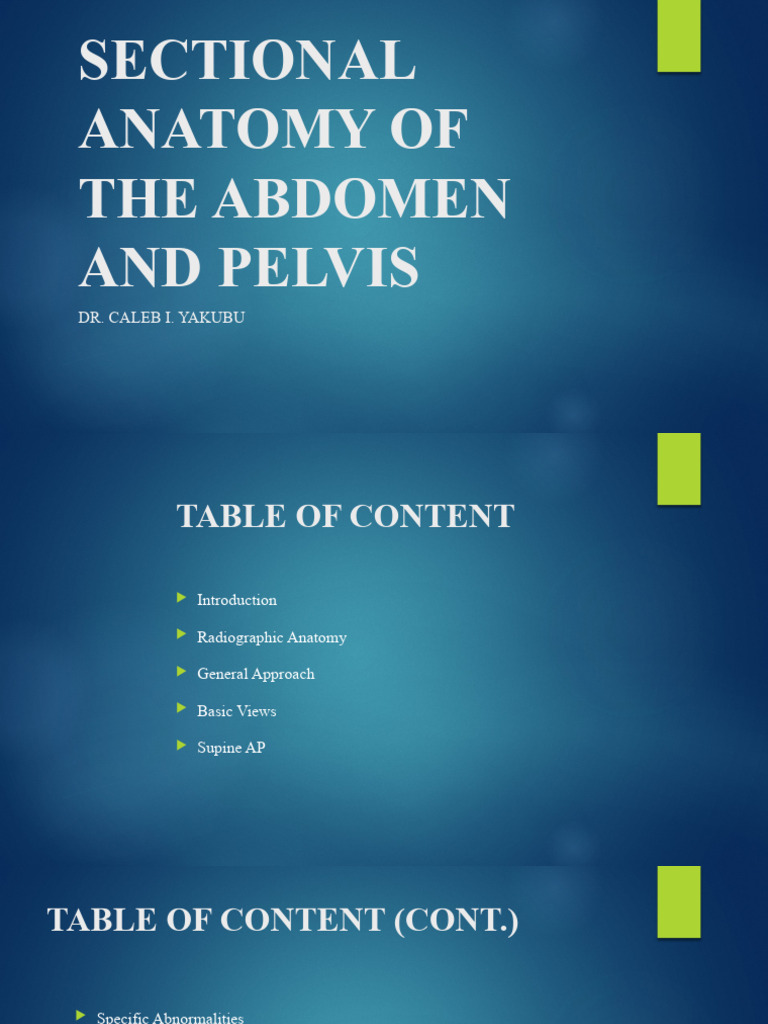Sectional Anatomy Of The Abdomen And Pelvis Pdf Ct Scan Liver