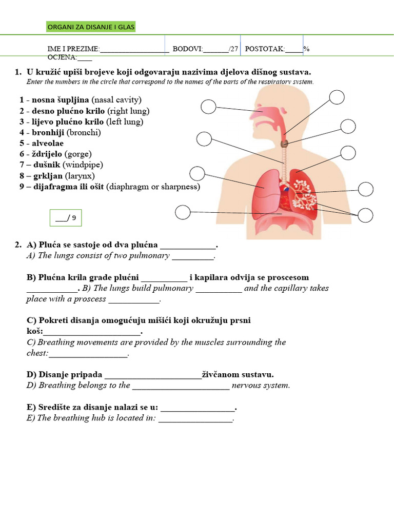 Organi Za Disanje I Glas 8.r Ispit | PDF | Lung | Respiratory System