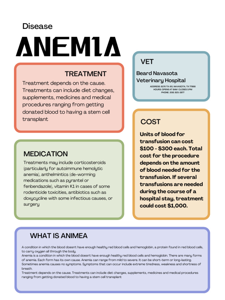 Anemia Treatment Options Explained | PDF | Anemia | Blood
