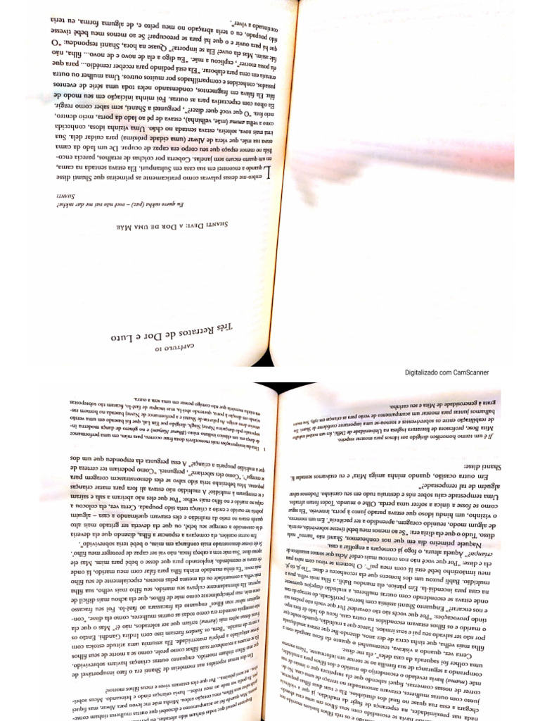 Veena Das VIDAS E PALAVRAS Caps 10 e 11 | PDF