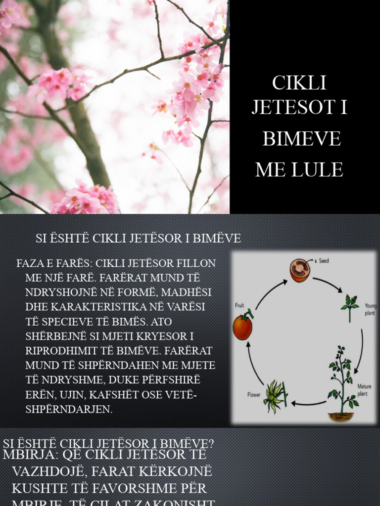 Cikli Jetesot I Bimeve Me Lule | PDF