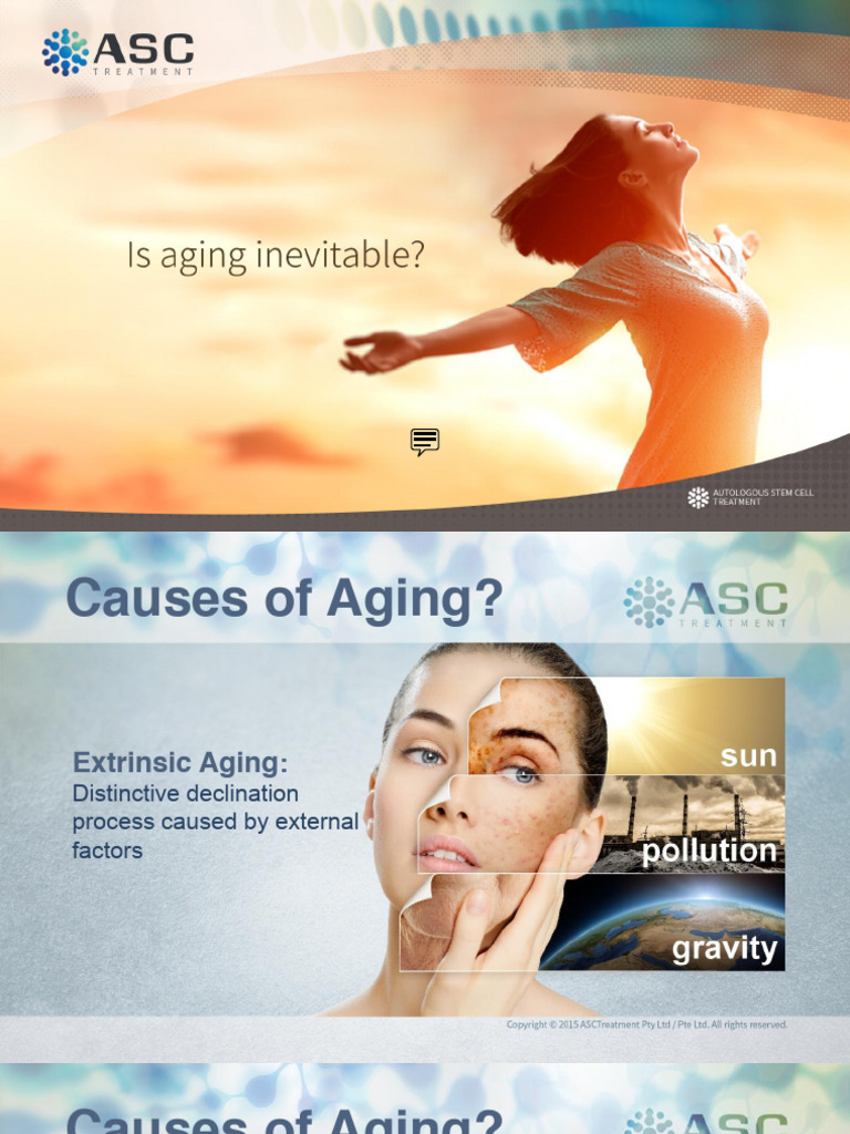 Aging | PDF | Stem Cell | Hematopoietic Stem Cell Transplantation