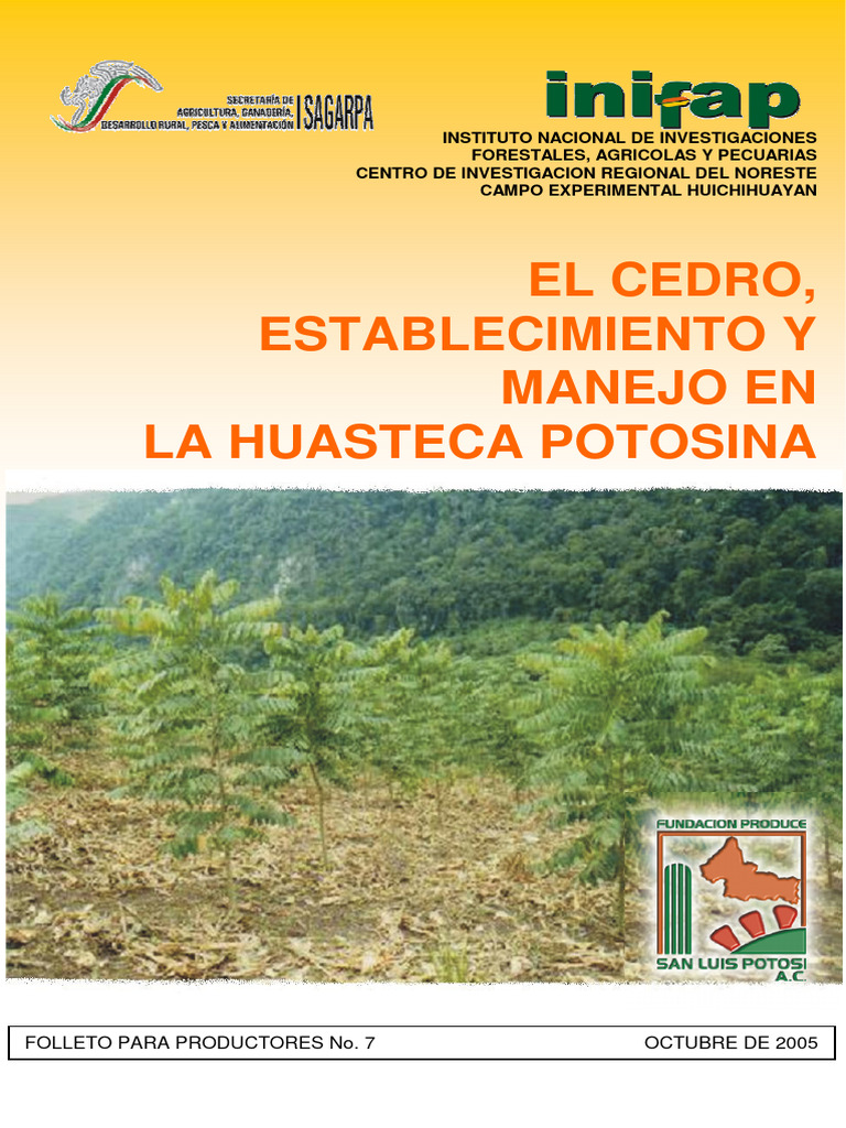 Cedro Establecimiento y Manejo | PDF | Agricultura | Plantas