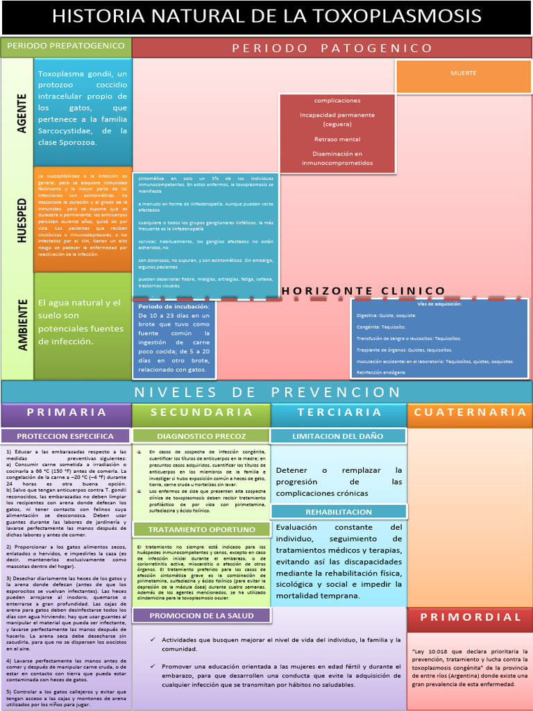 Historia Natural ToXOPLASMOSIS | PDF | Causas de la muerte | Epidemiología