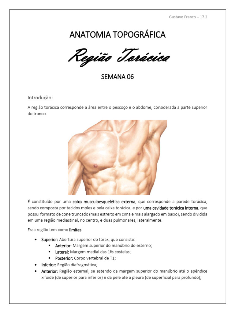Anatomia da Região Torácica | PDF | Coração | Esôfago