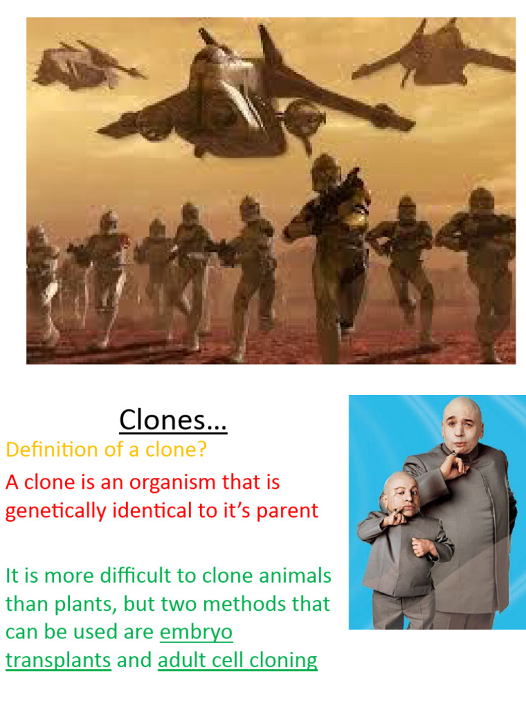 Cloning Ppt 1 Pdf Cloning Stem Cell