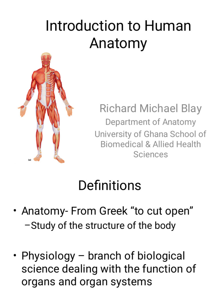Introduction To Anatomy | PDF | Anatomical Terms Of Location | Anatomy