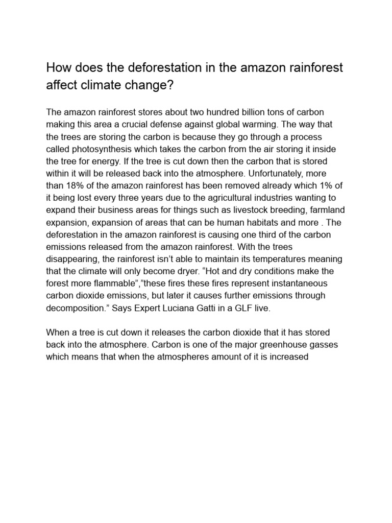 Affects of Human Activity | PDF | Greenhouse Gas | Amazon Rainforest