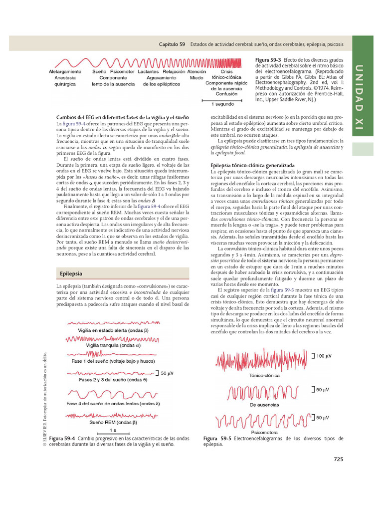 Guyton, A. (2011) - Tratado de Fisiología Médica. Cap. 59 - Epilepsias - Fragmentos ...