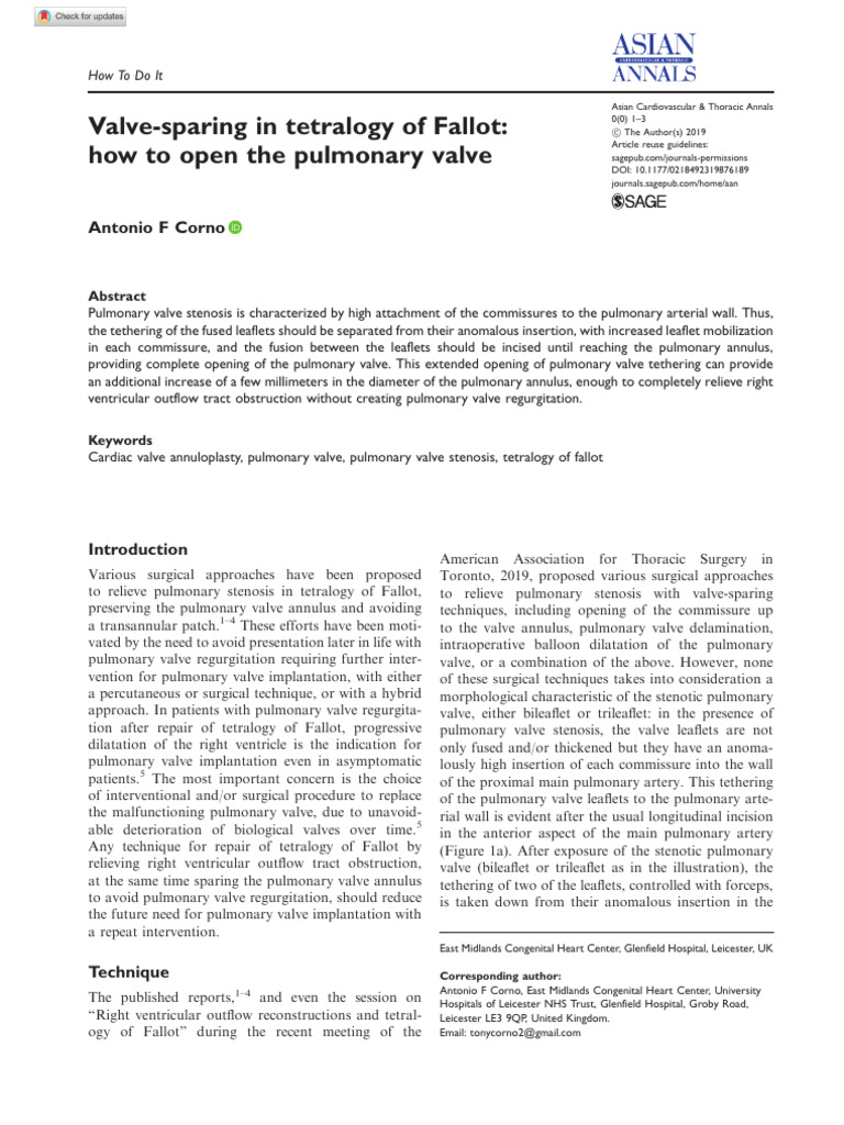 Corno 2019 | PDF | Heart Valve | Cardiology