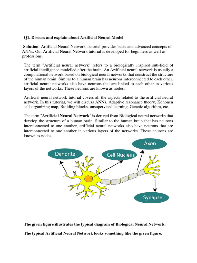 CS 403-Soft Computing QA-Part-1 | Download Free PDF | Artificial Neural Network | Brain