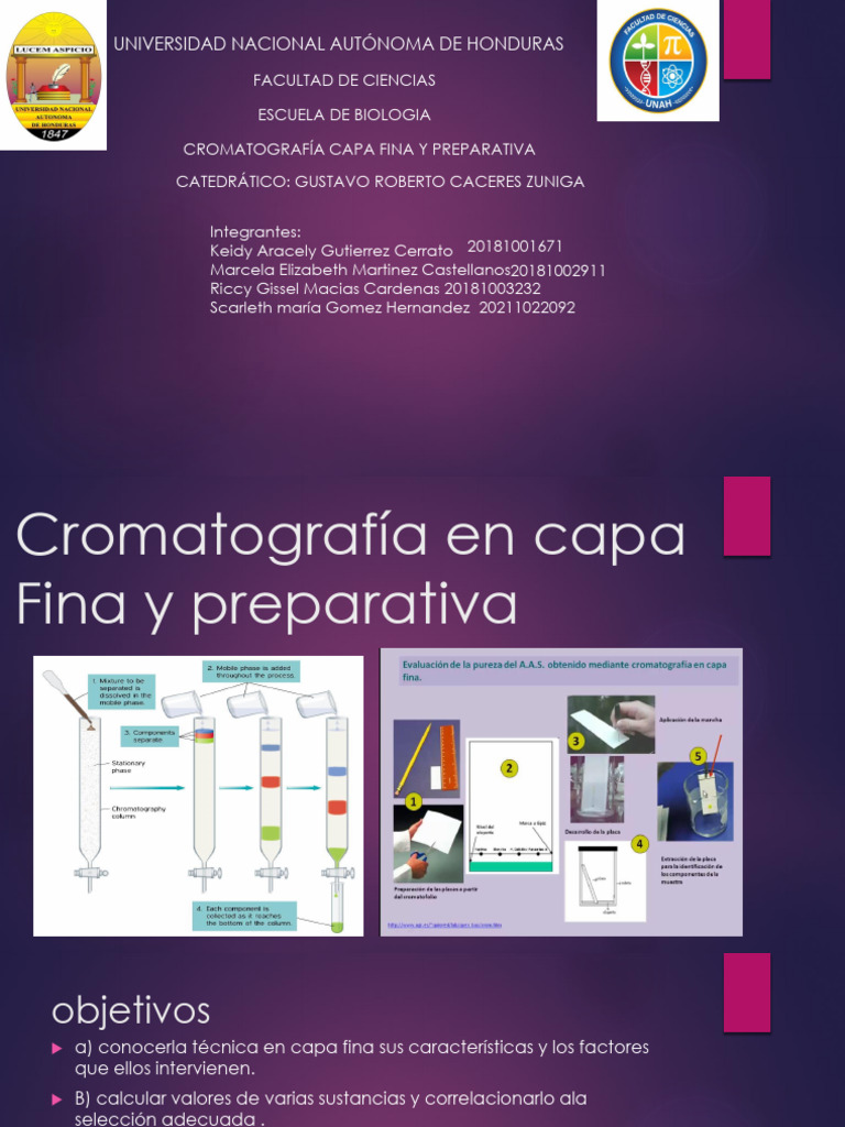 Cromatografía en Capa Fina y Preparativa | PDF | Cromatografía | Química Física