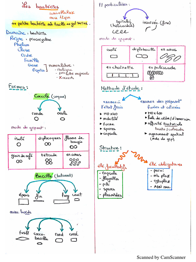1.les Bactéries (Structure, Classification) | PDF