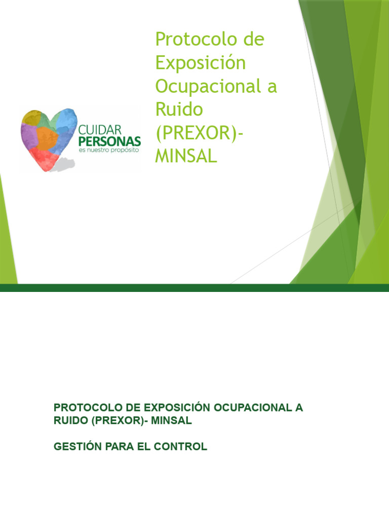 Protocolo PREXOR: Control de Ruido Laboral | PDF | ruido | Business