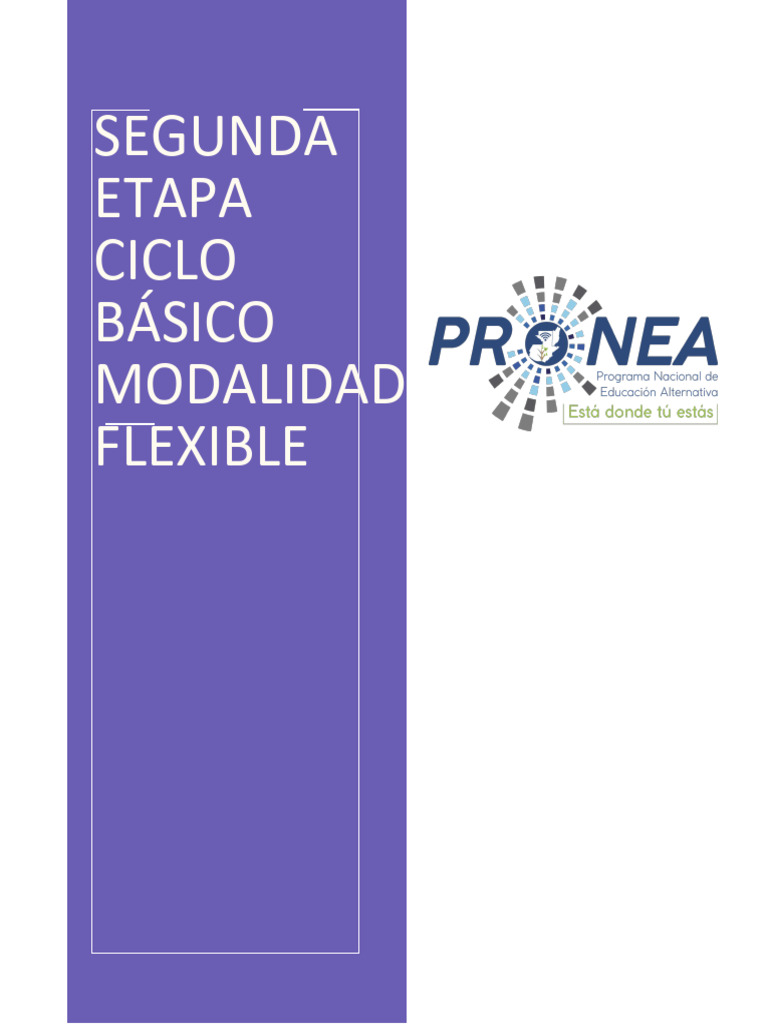 Módulo1 Básico Etapa2 | Descargar gratis PDF | Pensamiento | Evaluación