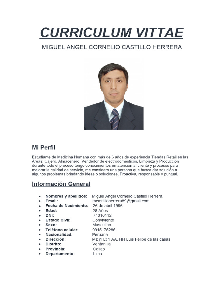 Curriculum Vitae Miguel | PDF