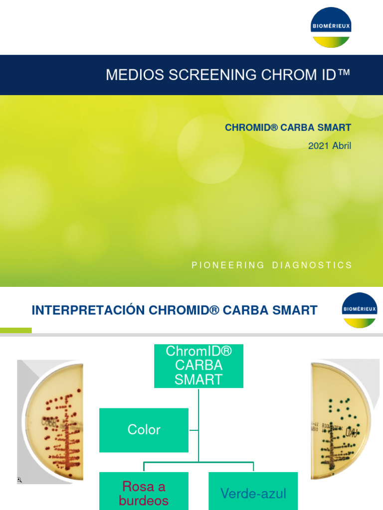 Guía Interpretación Agar Chrom Id Carba Smart | PDF | Procariota | Las ...