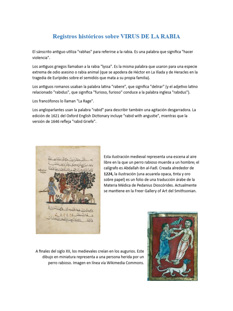 Historia del Virus de la Rabia | PDF | Rabia | Vacunación