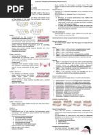 Angle's Malocclusion Classification Explained | PDF